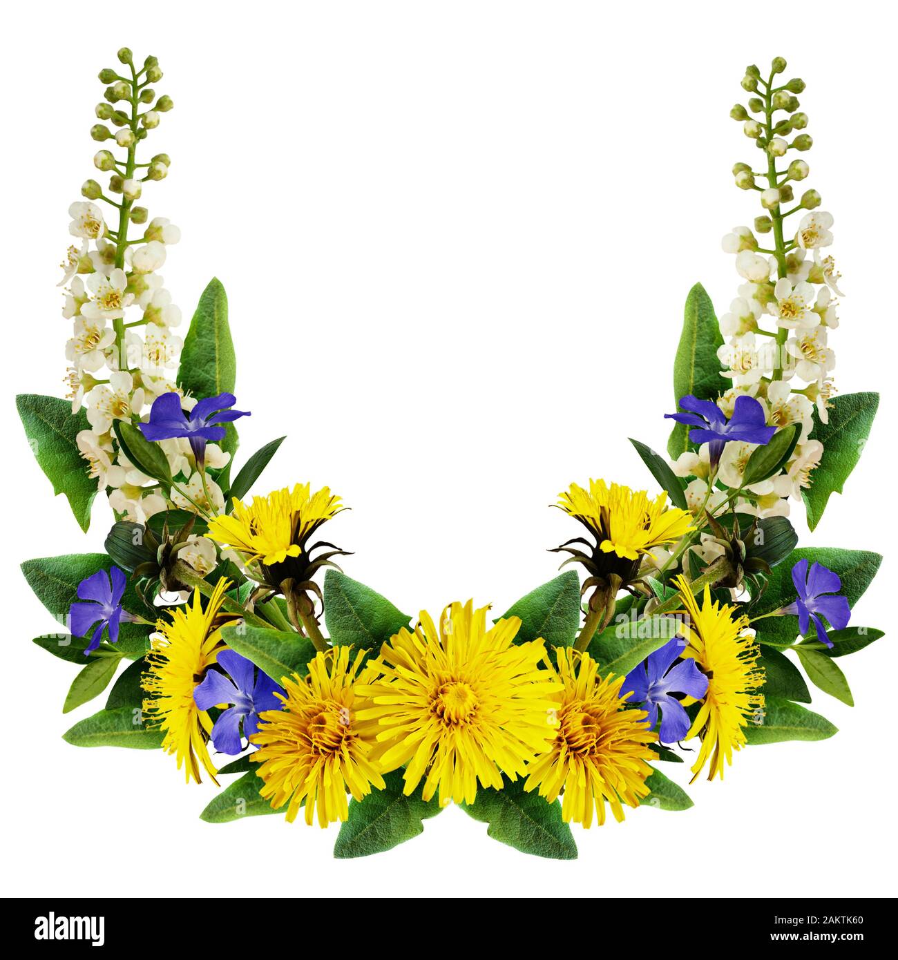 Dandelion, bird-cherry tree flowers and periwinkles frame isolated on ...