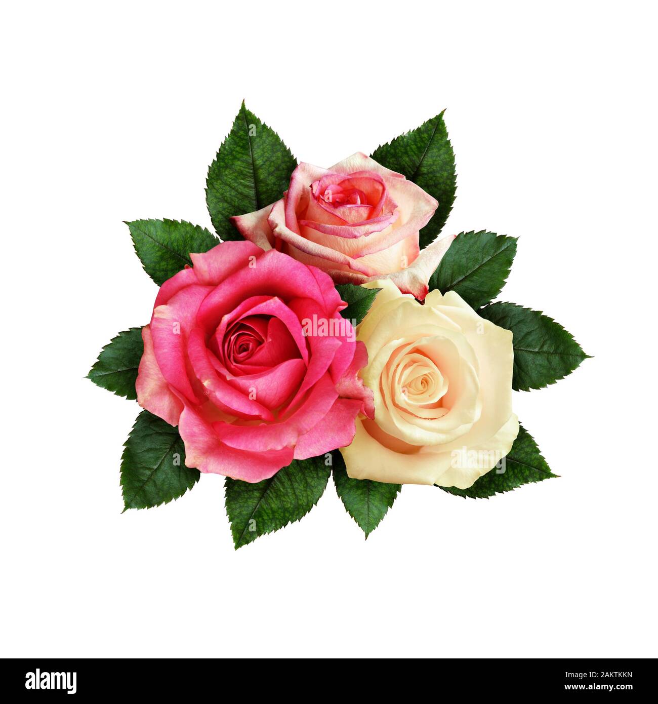 Pink and white rose flowers bouquet isolated on white Stock Photo - Alamy