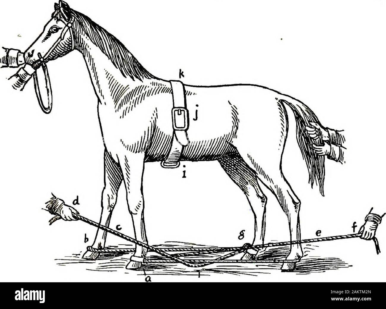 100 drawings Cut Out Stock Images & Pictures - Alamy