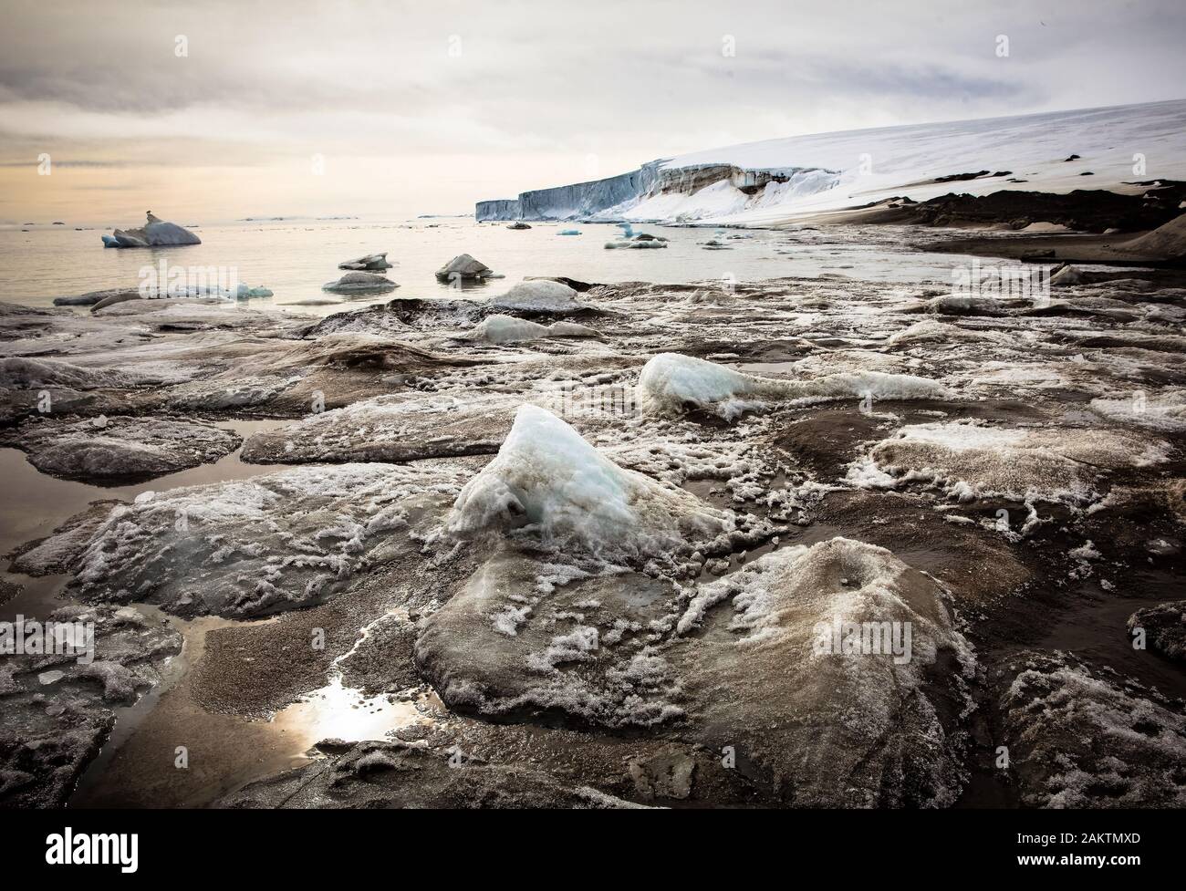 Champ Island, Franz Josef Land, Russian Arctic Stock Photo - Alamy