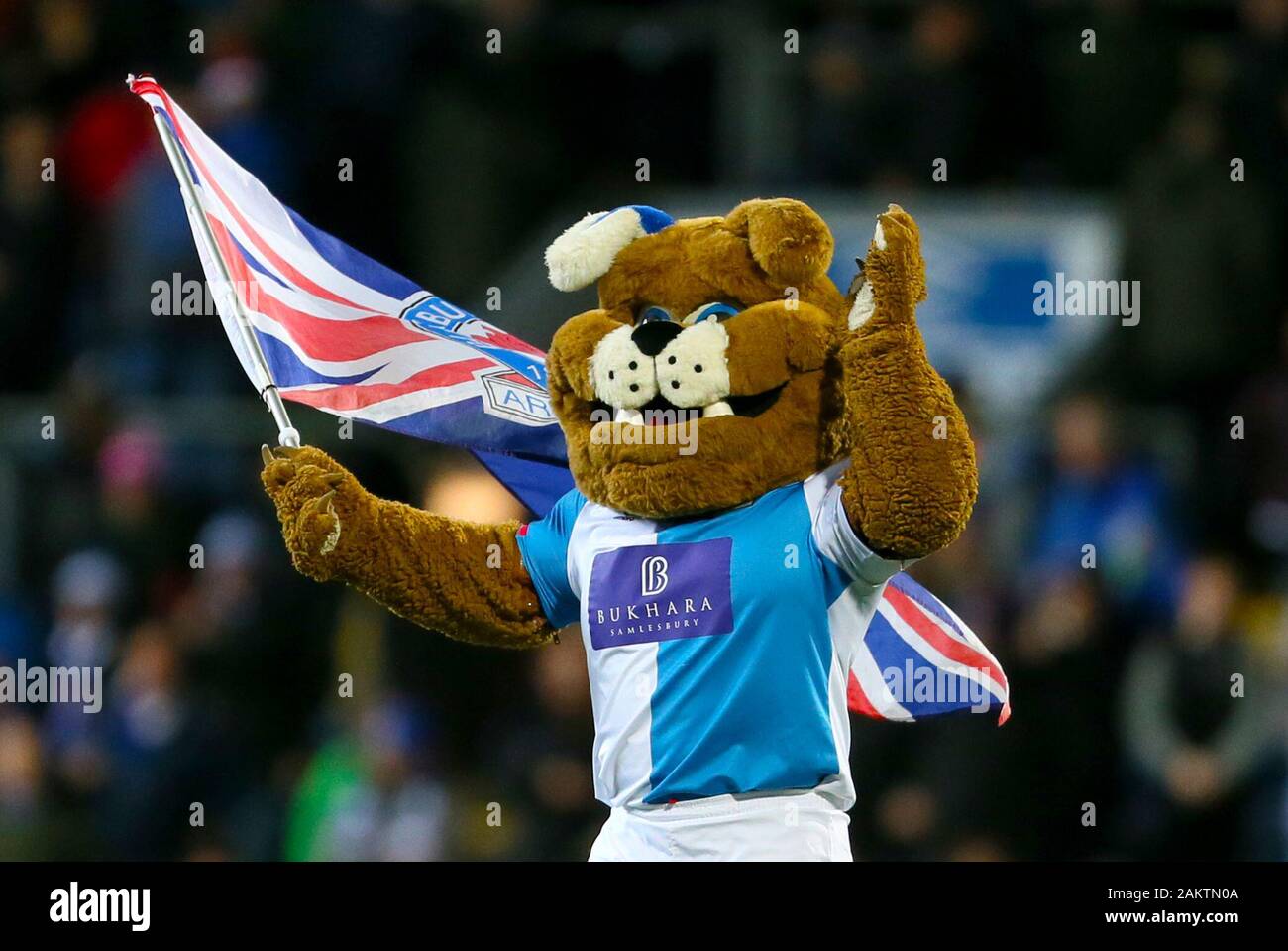 Blackburn Rovers mascot Rover the Dog waves a flag on the pitch ahead ...