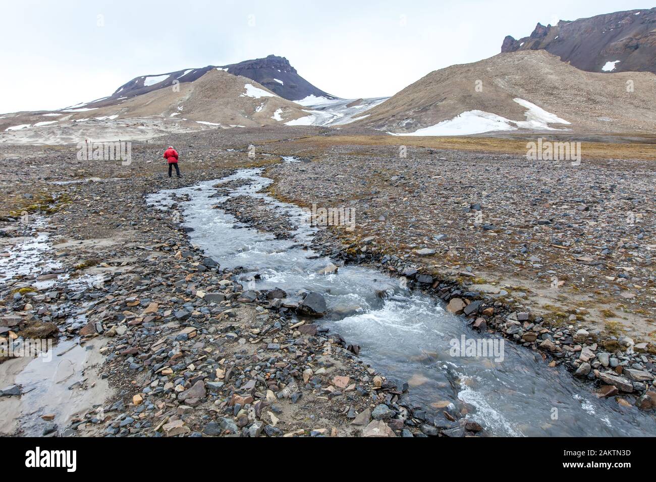 Champ Island, Franz Josef Land, Russian Arctic Stock Photo - Alamy