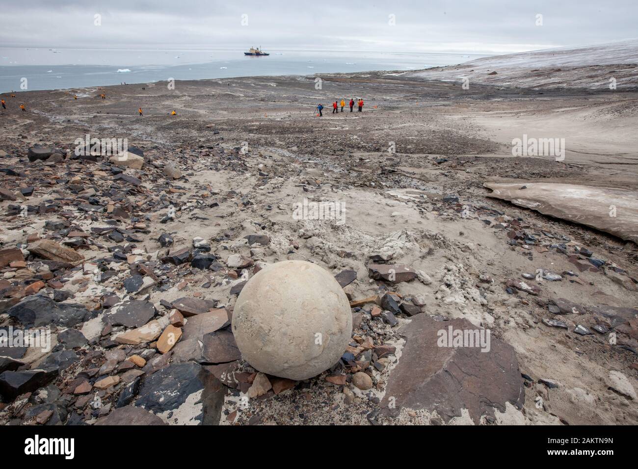 Champ Island, Franz Josef Land, Russian Arctic Stock Photo - Alamy