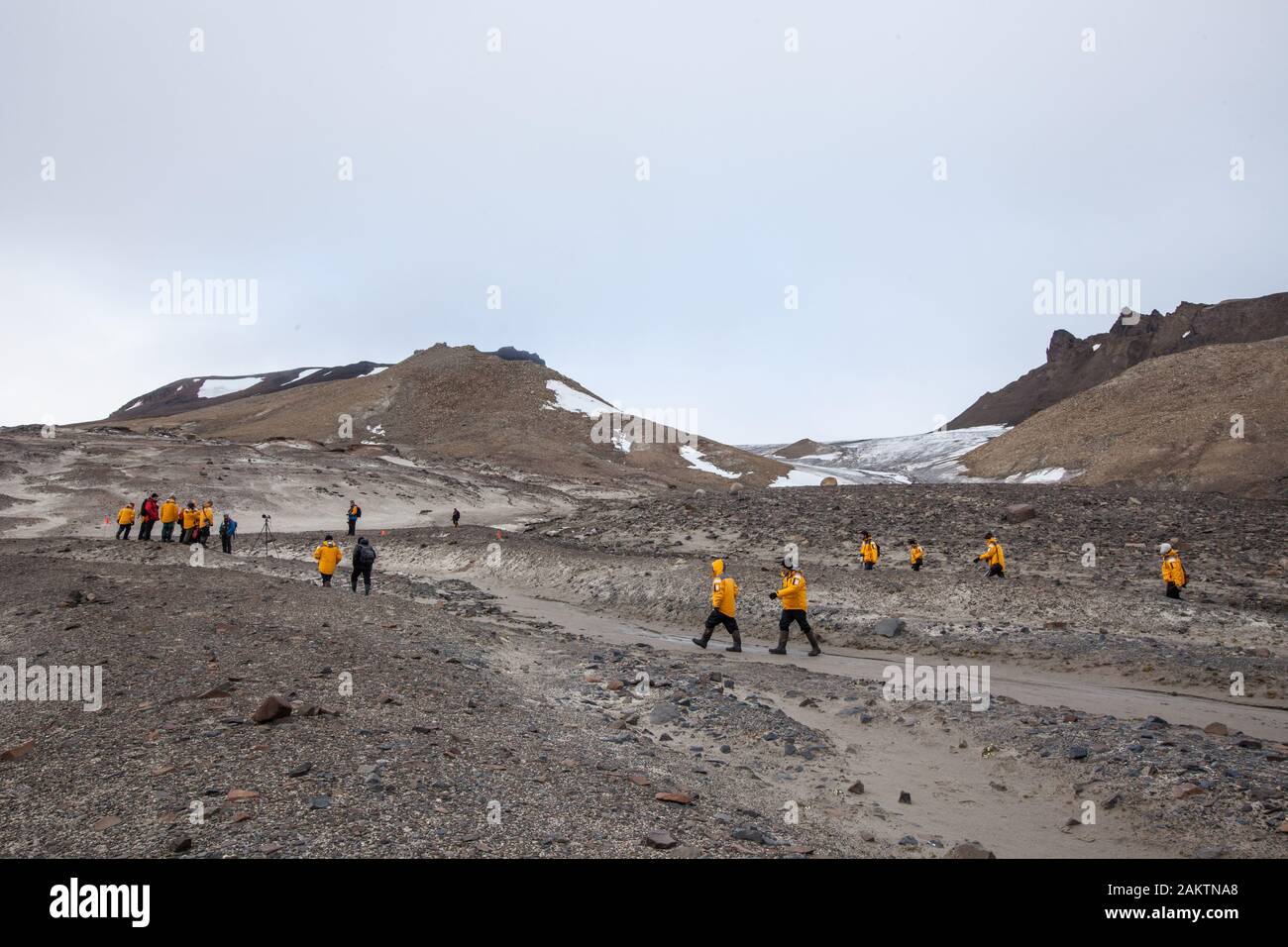 Champ Island, Franz Josef Land, Russian Arctic Stock Photo - Alamy