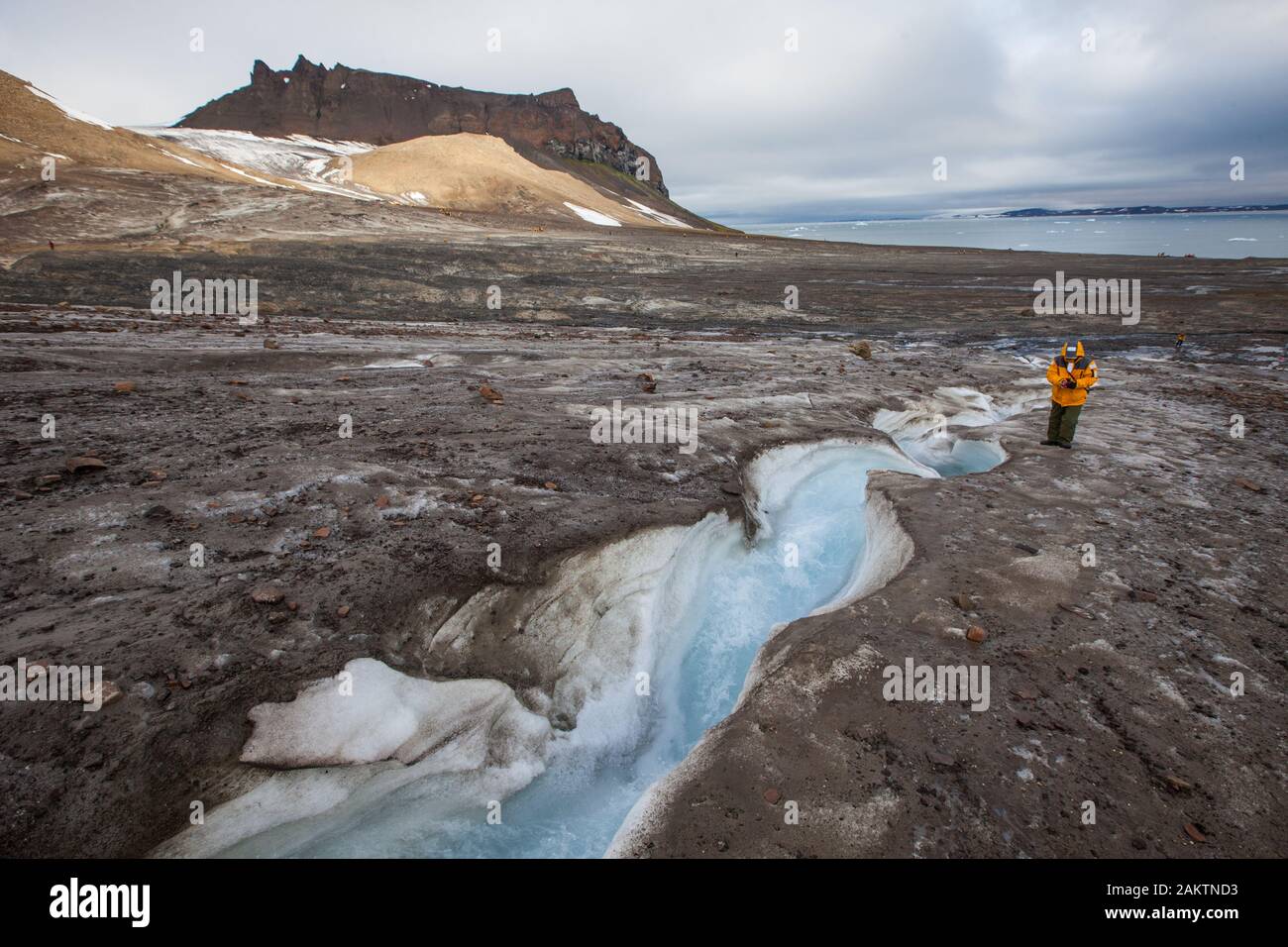 Champ Island, Franz Josef Land, Russian Arctic Stock Photo - Alamy