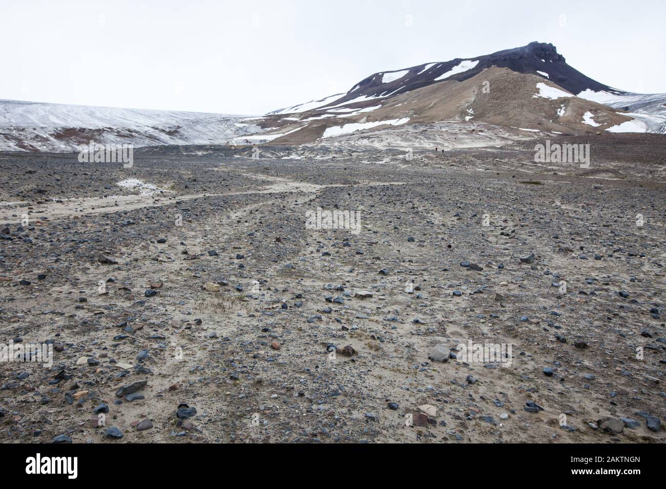 Champ Island, Franz Josef Land, Russian Arctic Stock Photo - Alamy
