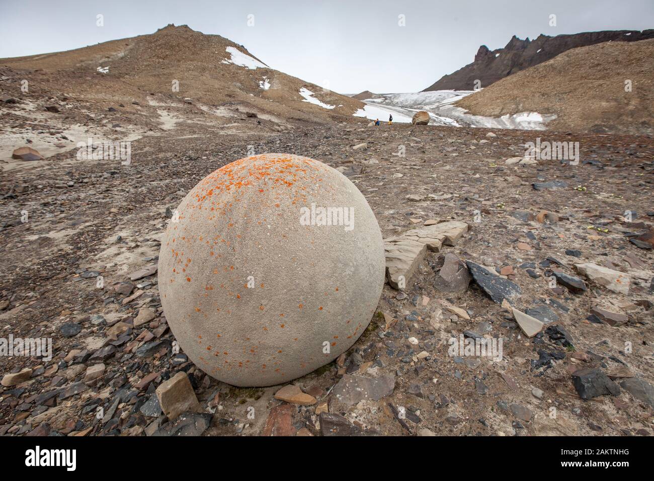 Champ Island, Franz Josef Land, Russian Arctic Stock Photo - Alamy