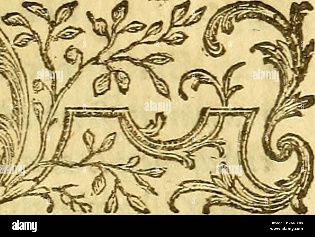 Devil follows hi-res stock photography and images - Alamy