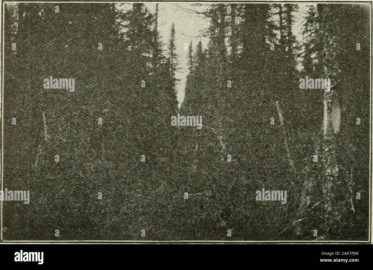 Ontario Sessional Papers, 1901, No.45-79 . Abitibi River. Party No. 1 ...