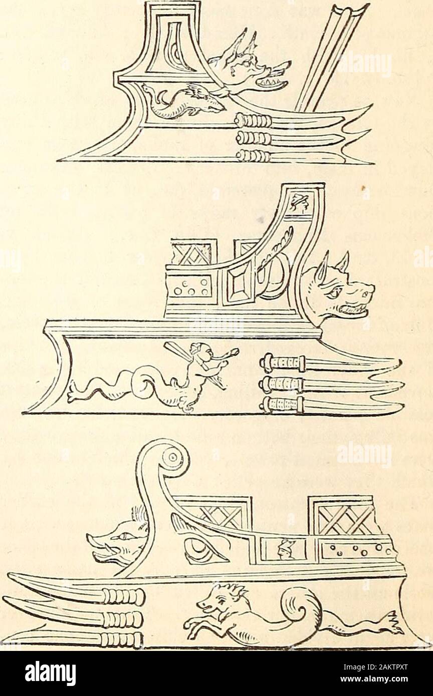 Ships beak hi-res stock photography and images - Alamy