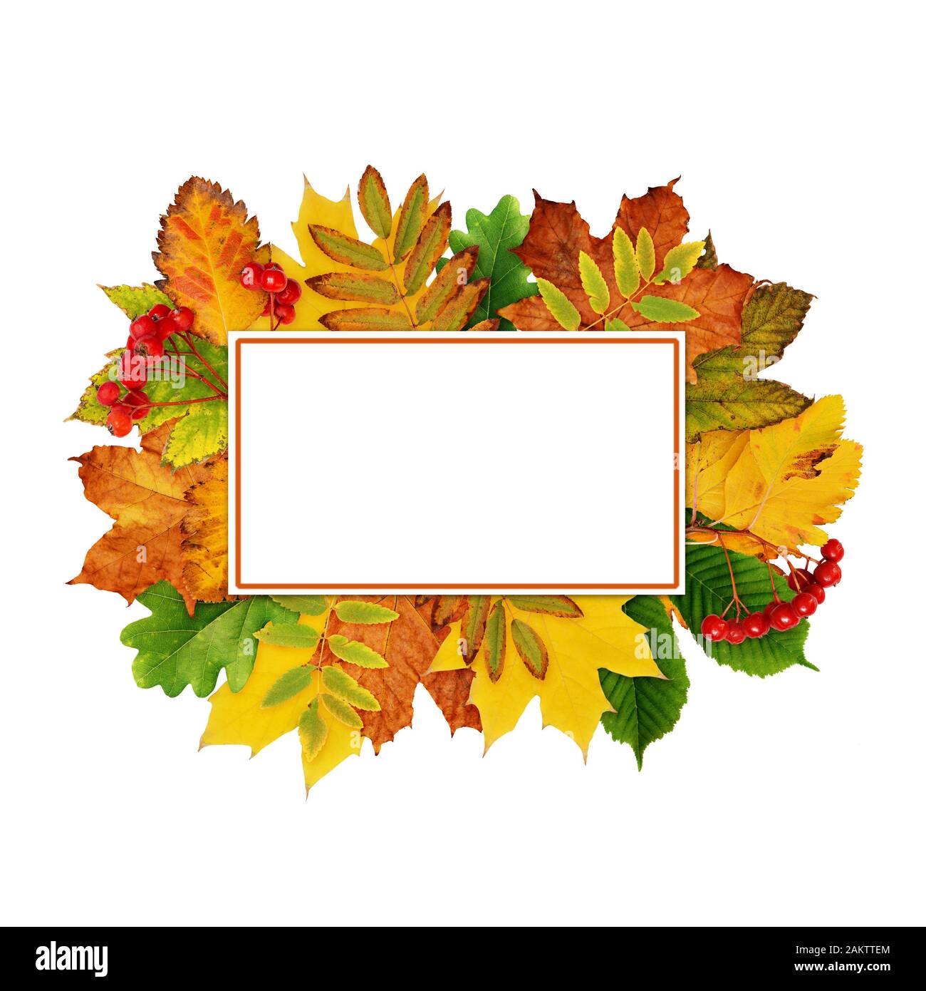 Fall leaves frame isolated on white background Stock Photo - Alamy