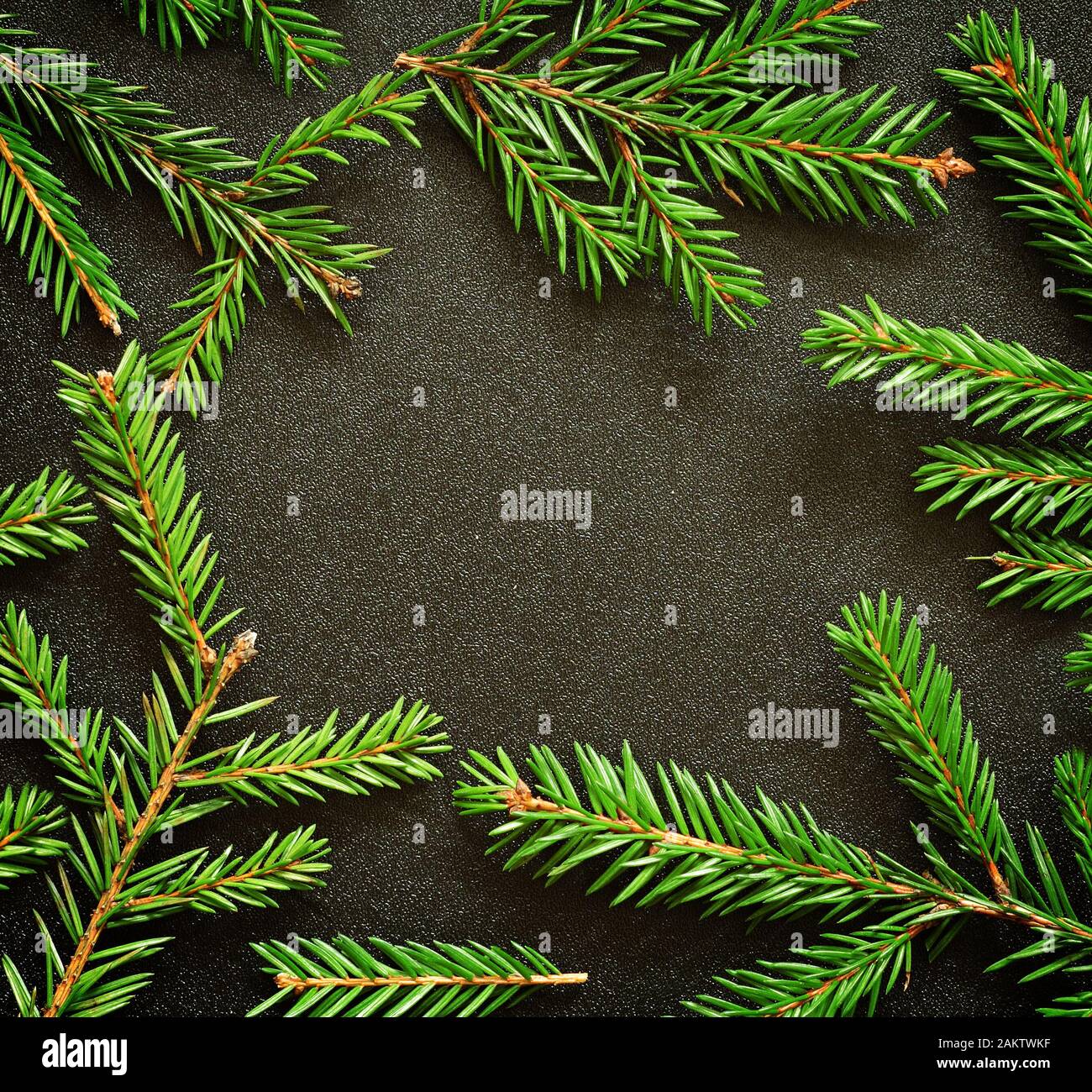Plastic fir tree hi-res stock photography and images - Alamy