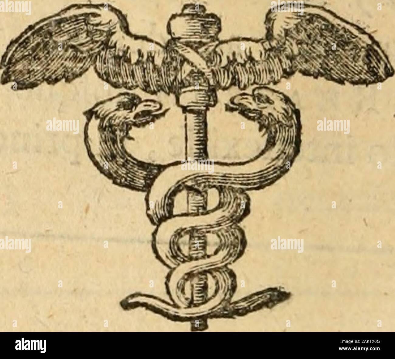 Venam hi-res stock photography and images - Alamy