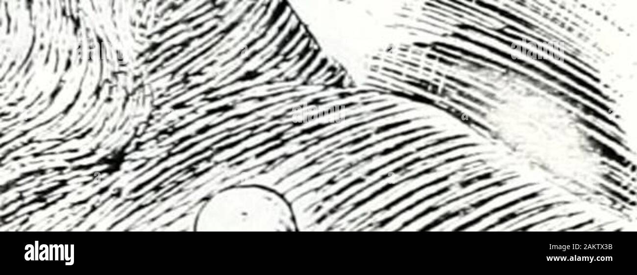 108th infantry regiment hi-res stock photography and images - Alamy