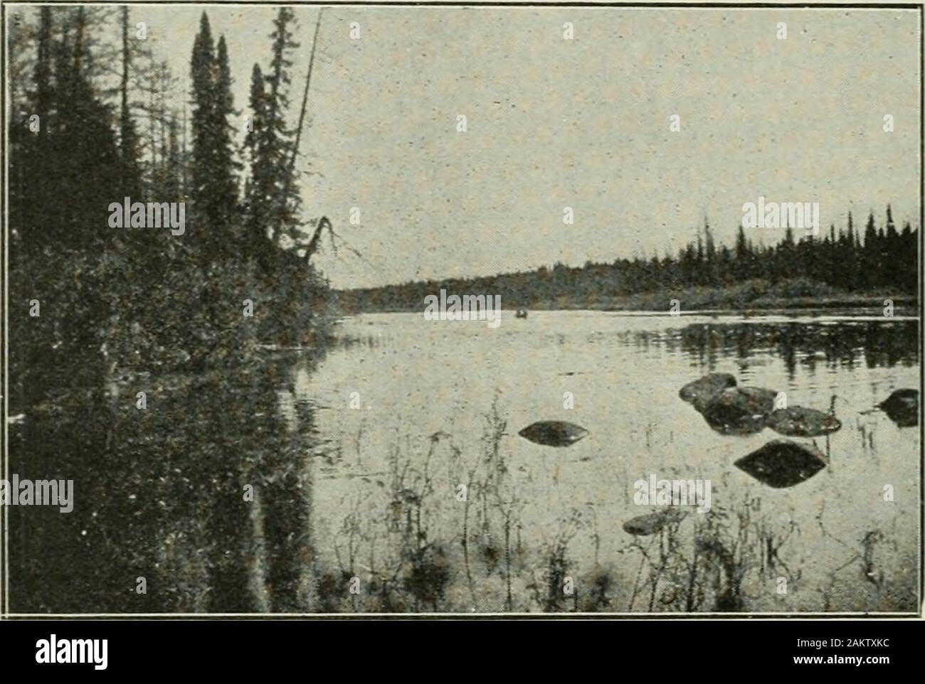 Ontario Sessional Papers, 1901, No.45-79 . Burnt Bush River, north cf ...