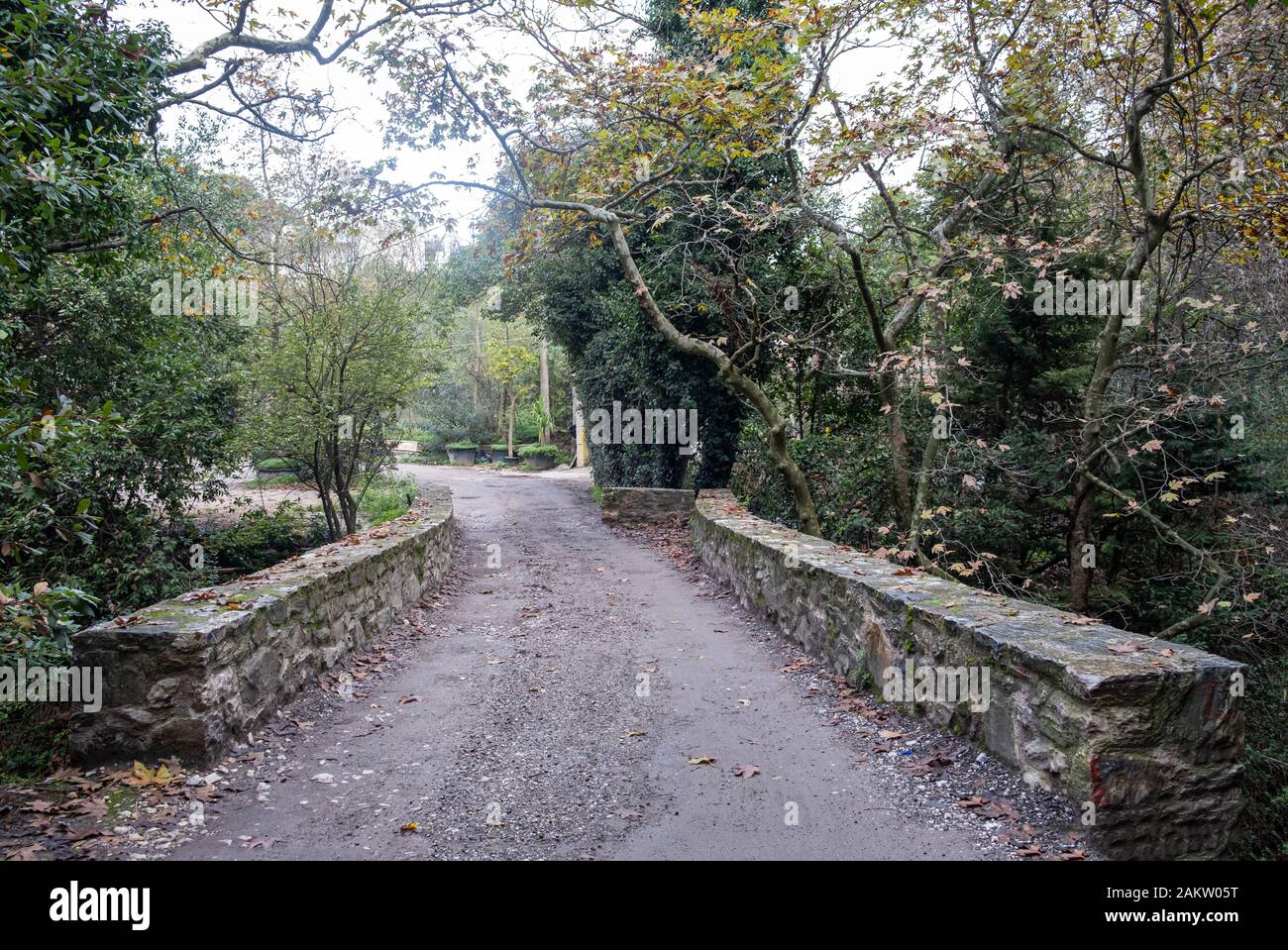 A path on a stone bridge with fallen leaves from the trees. Autumn in a ...