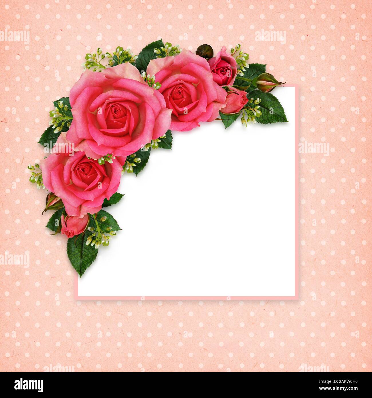 Rose flowers frame on pink spotted background Stock Photo - Alamy