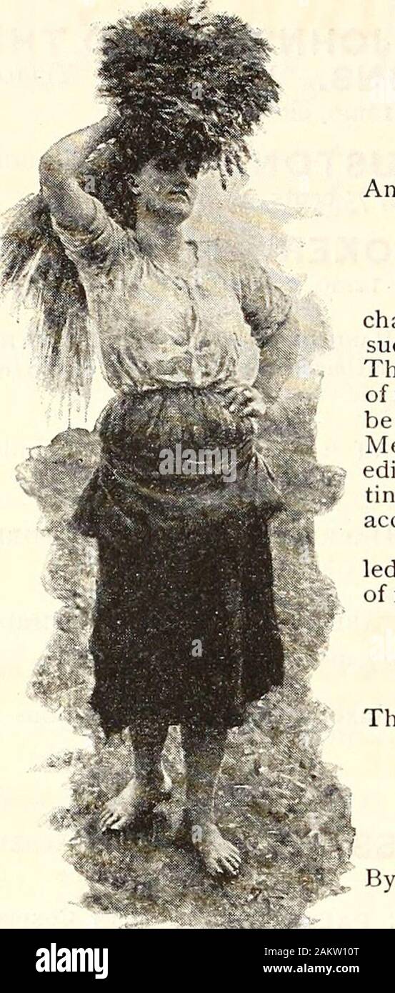 Colette france gardens hi-res stock photography and images - Alamy