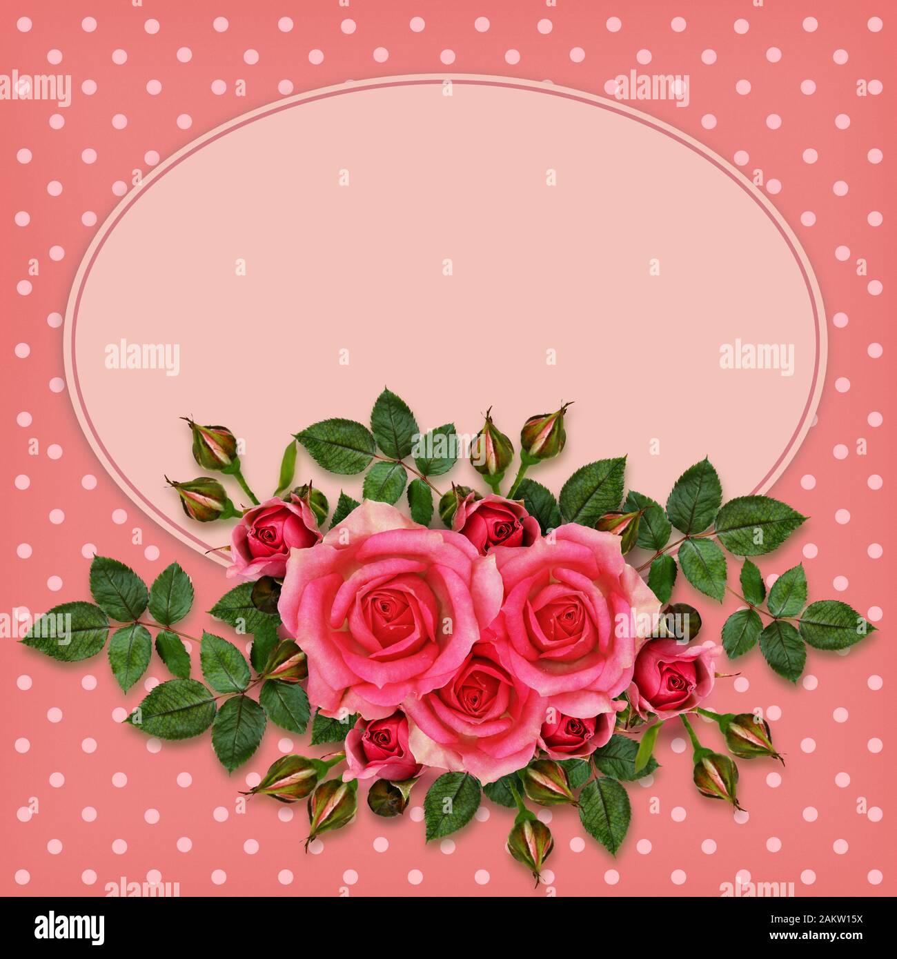 Pink rose flowers composition on pink background Stock Photo - Alamy
