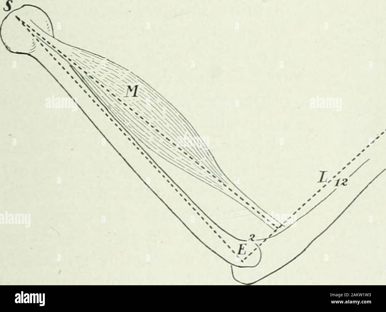 37 x 63 hi-res stock photography and images - Alamy