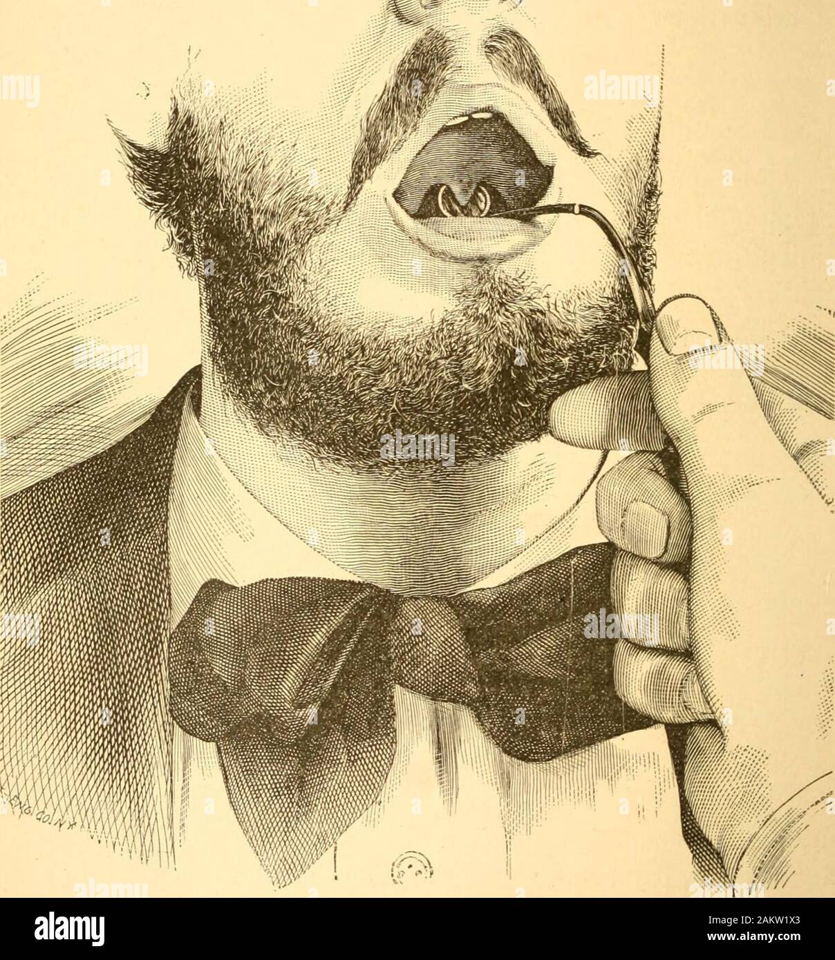 Nose moisture hi-res stock photography and images - Alamy