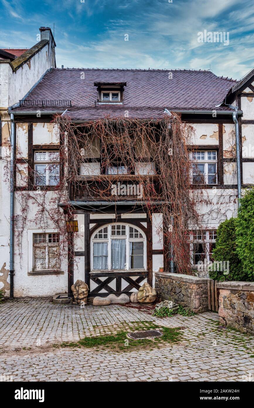 old timbered house with dried ivy Stock Photo - Alamy