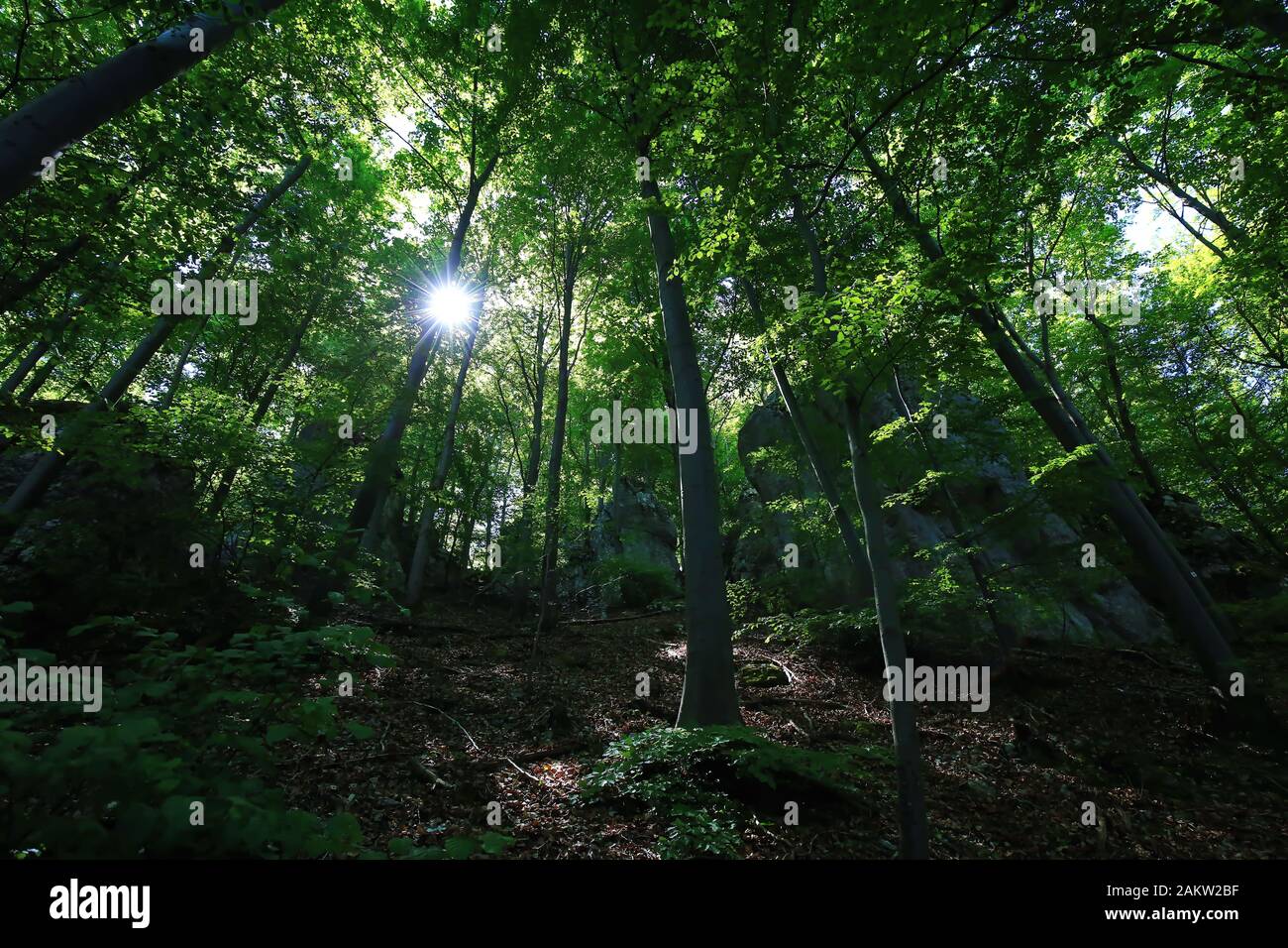 Bad Urach is a city in Germany with many historical attractions Stock ...