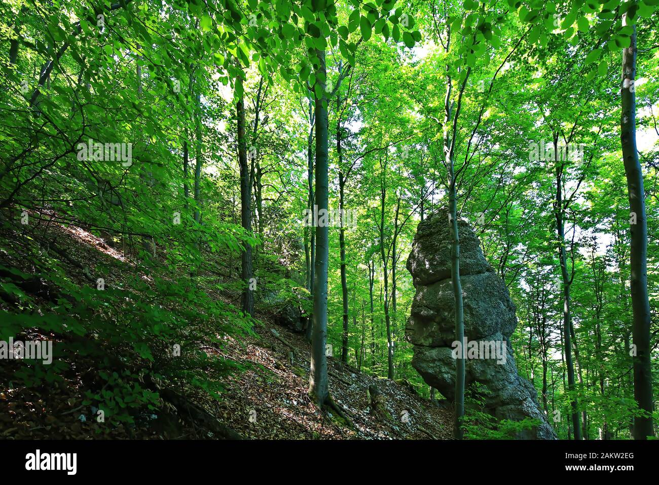 Germany Baden Wuerttemberg Bad Urach City High Resolution Stock ...
