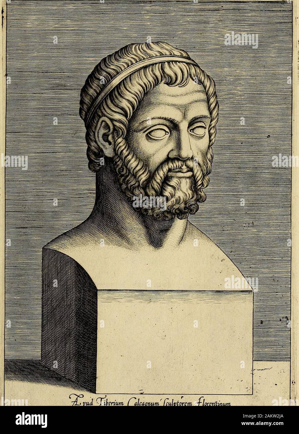 Viror hi-res stock photography and images - Alamy