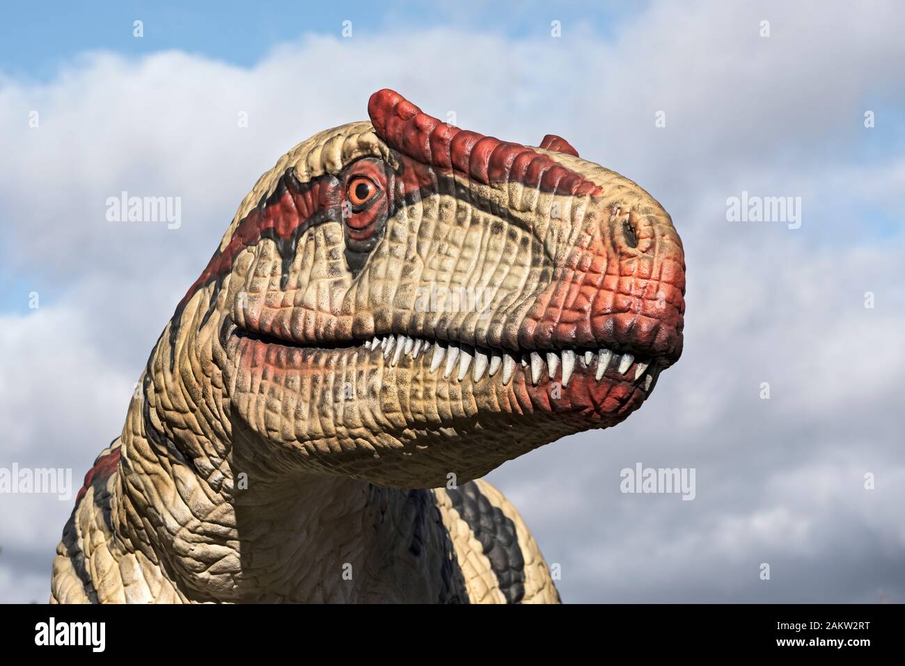 Free reproduction of carnivorous reptile from the Jurassic era Stock ...