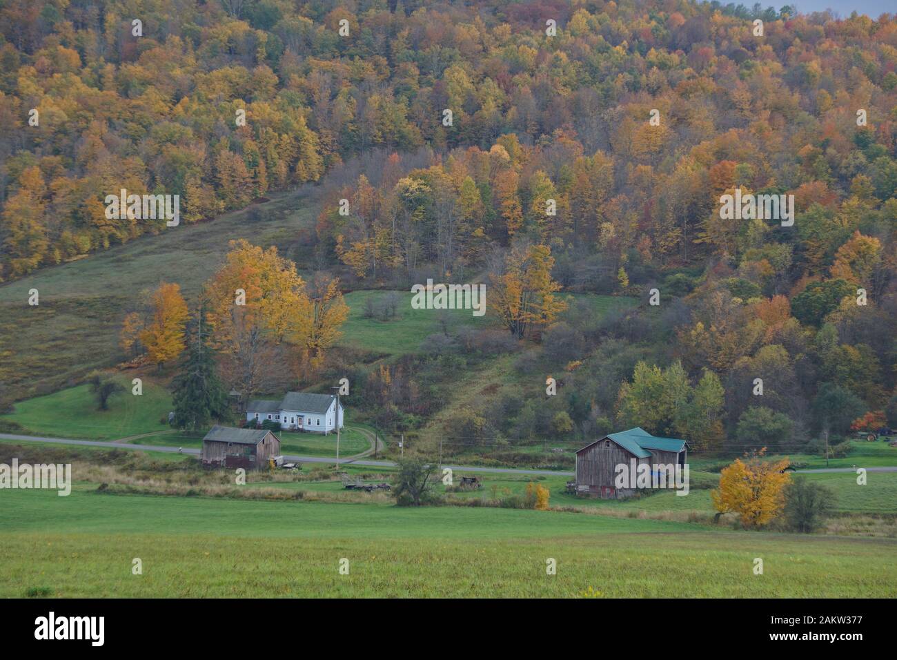 Autumn in Upstate New York Stock Photo - Alamy