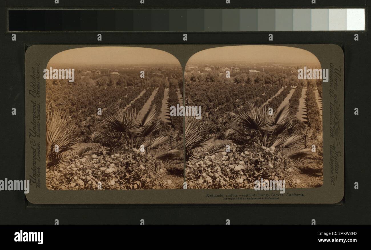 Orange Groves California High Resolution Stock Photography and Images ...