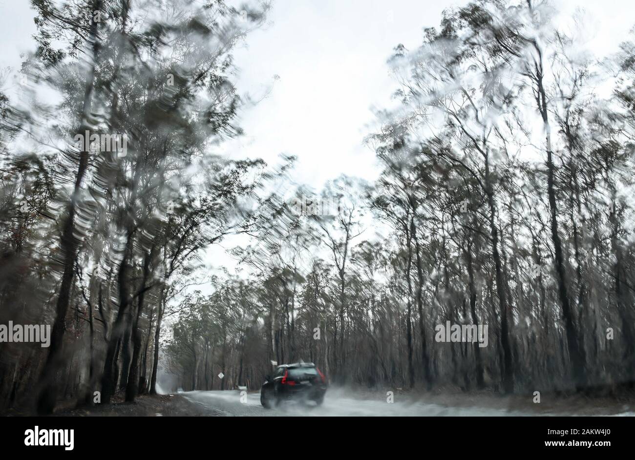 Taree region hi-res stock photography and images - Alamy