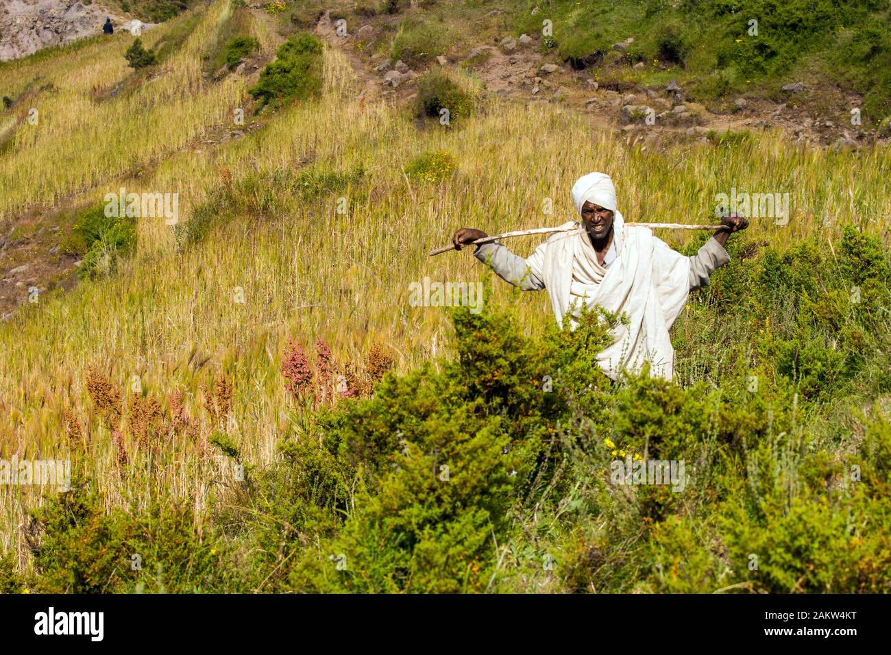 Ethiopian villager walking in Simien Mountains National Park, Ethiopia ...