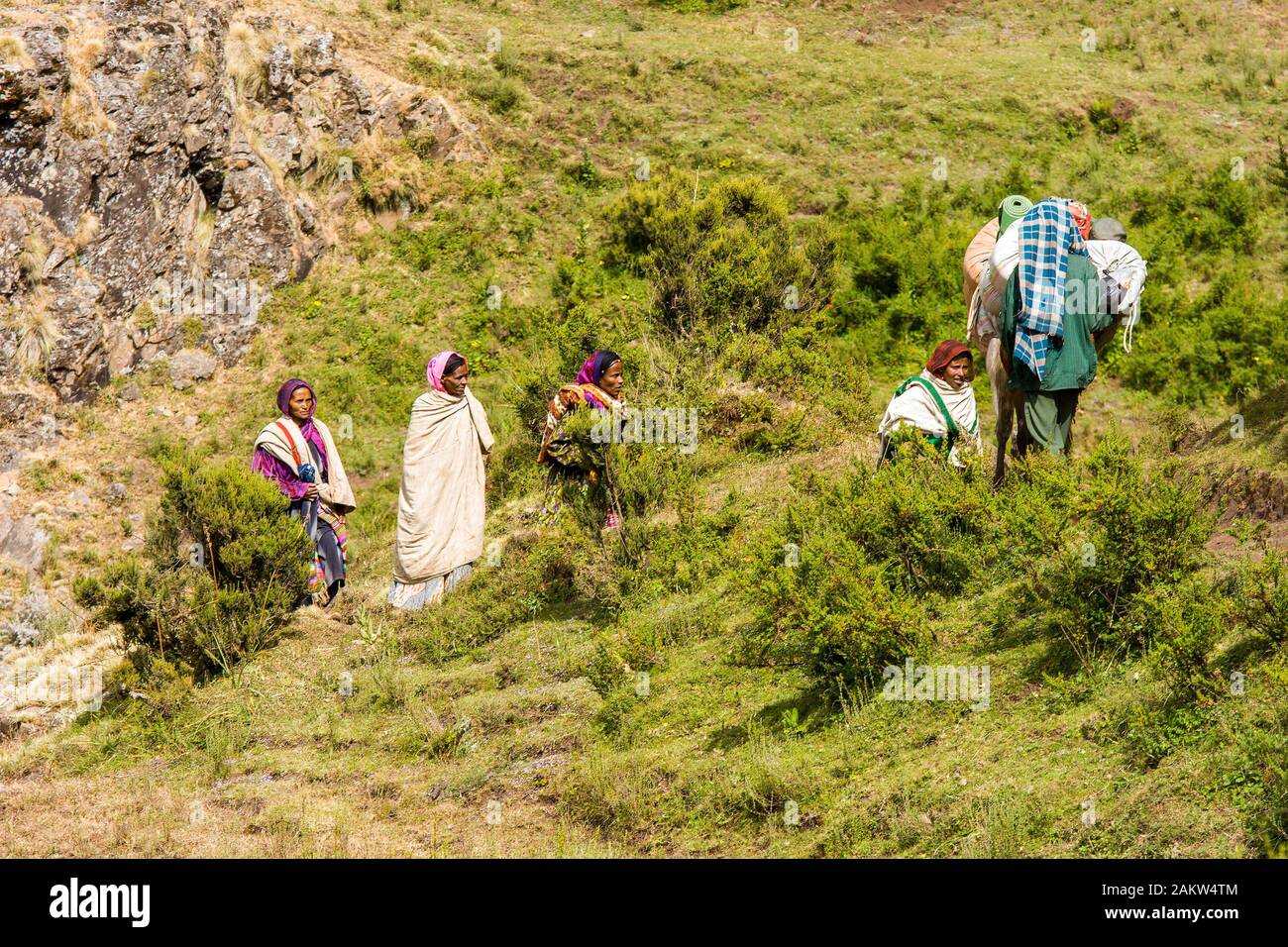 Ethiopian rural women walking together Simien Mountains National Park ...