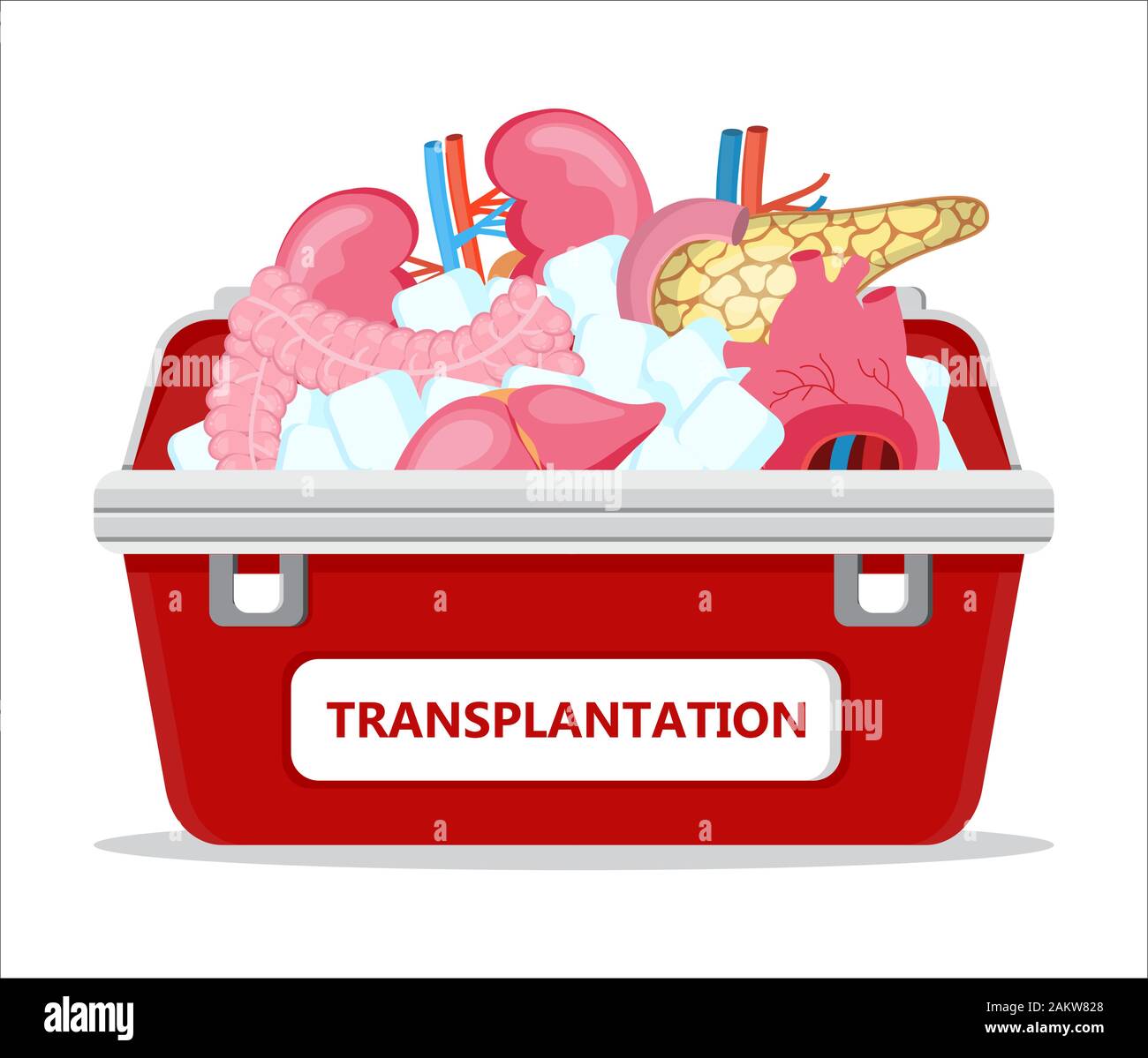 Human organ donor transplantation concept vector for banner, flyer ...