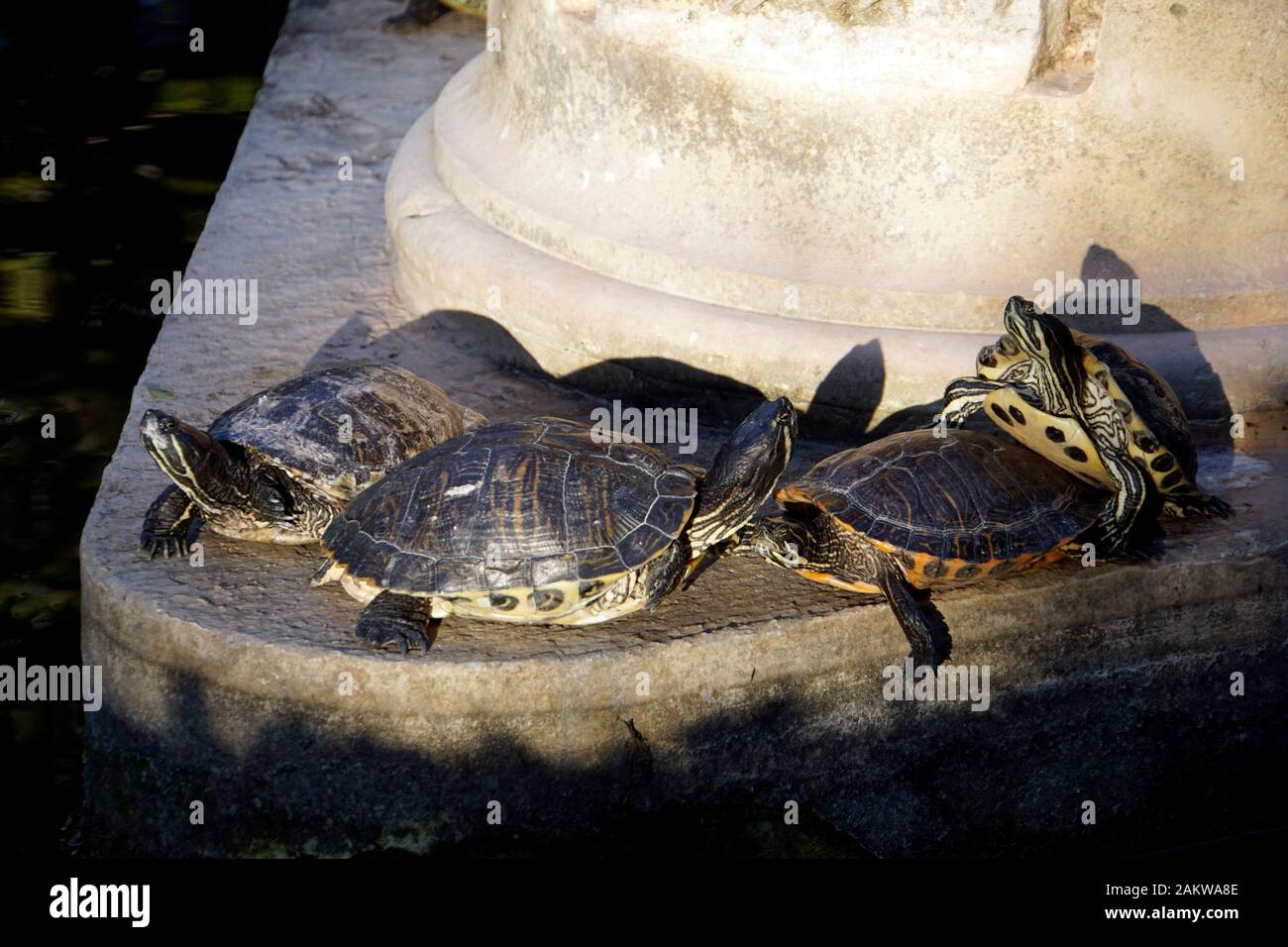 Springbrunnen im San Anton Garten, Attard, Malta Stock Photo - Alamy