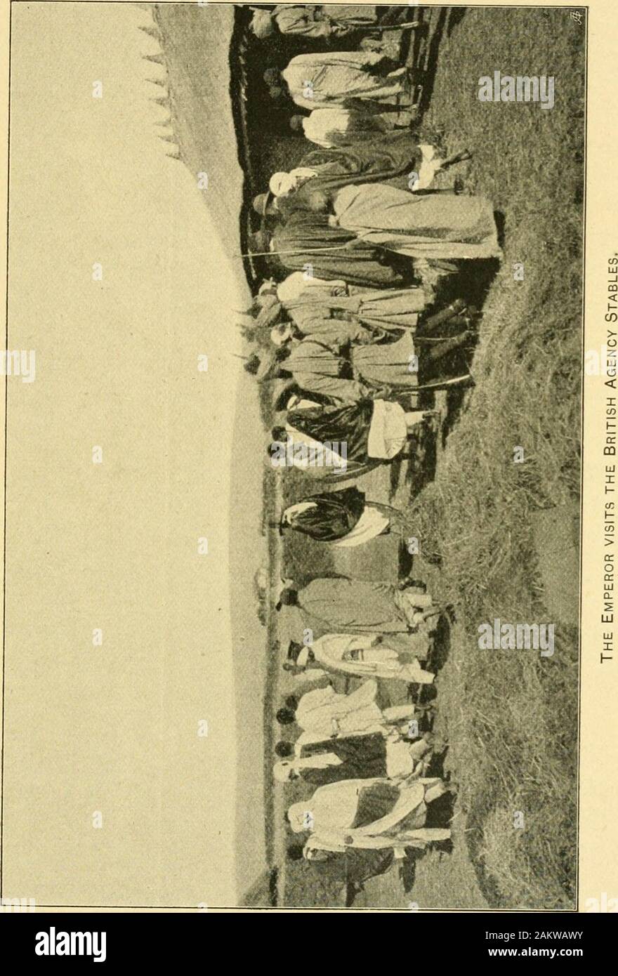 Simien fox hi-res stock photography and images - Alamy