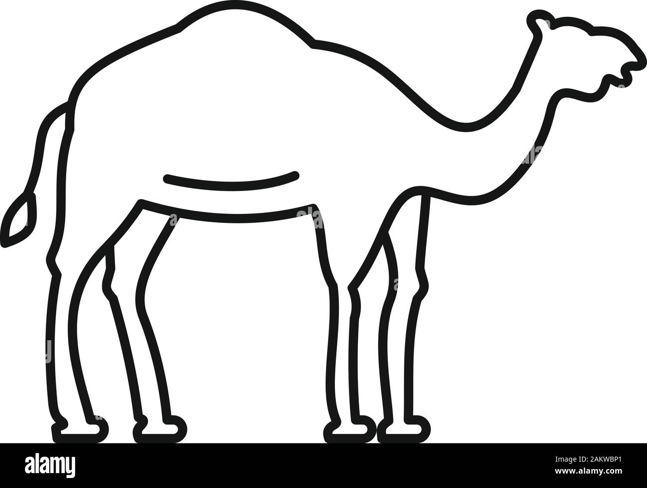 Egypt camel icon. Outline egypt camel vector icon for web design ...