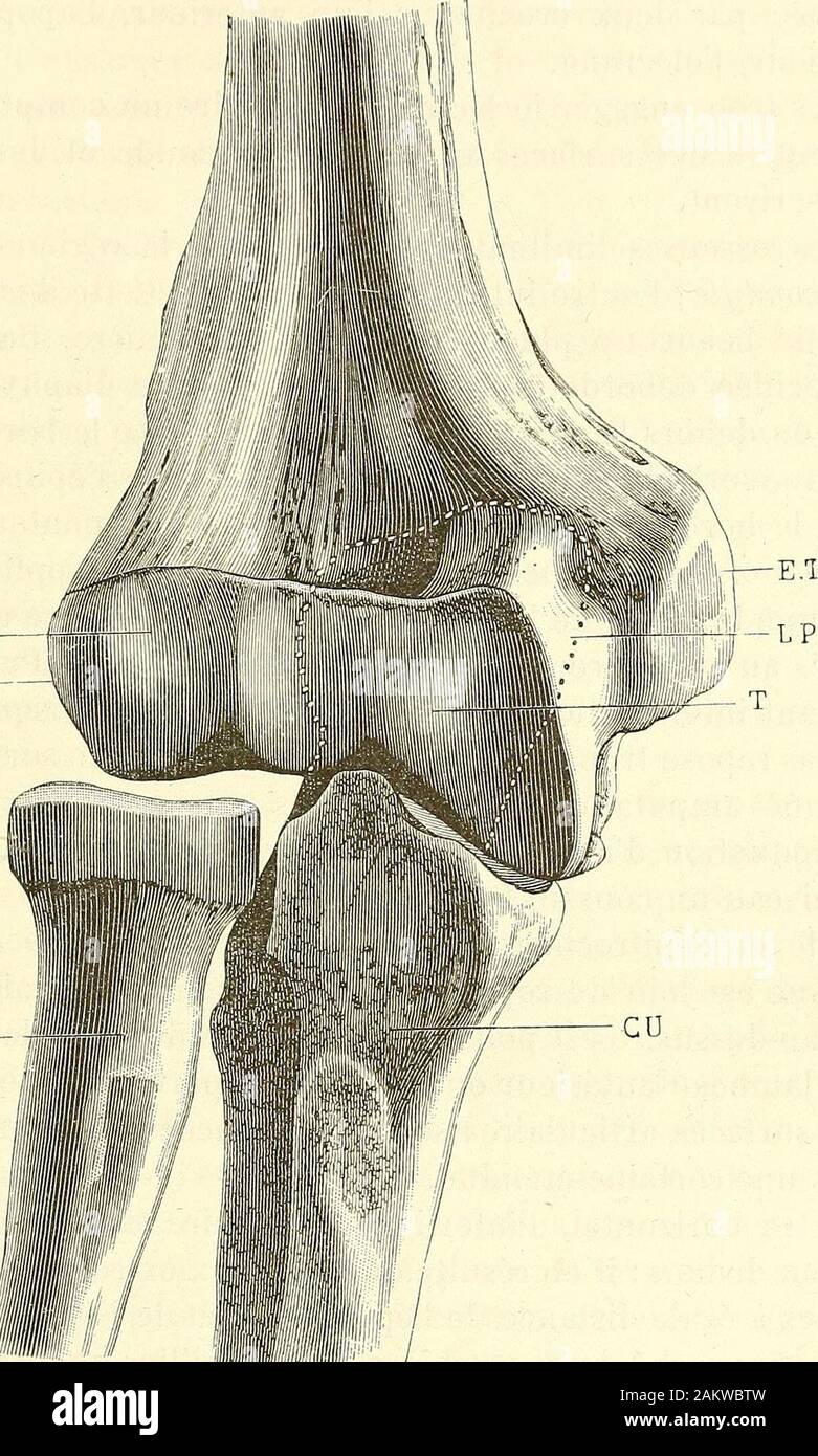 Torsion des doigts hi-res stock photography and images - Alamy
