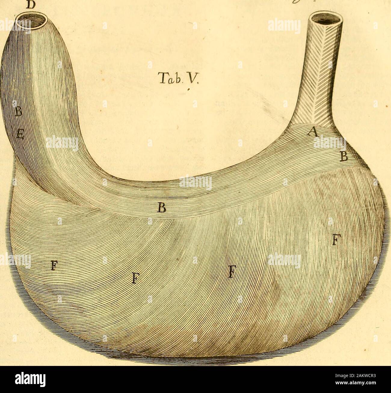 Rtna hi-res stock photography and images - Alamy