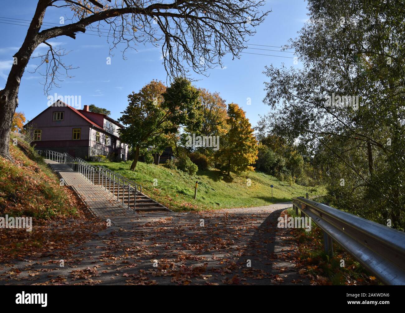 Group of maple leafs on a path Stock Photo - Alamy