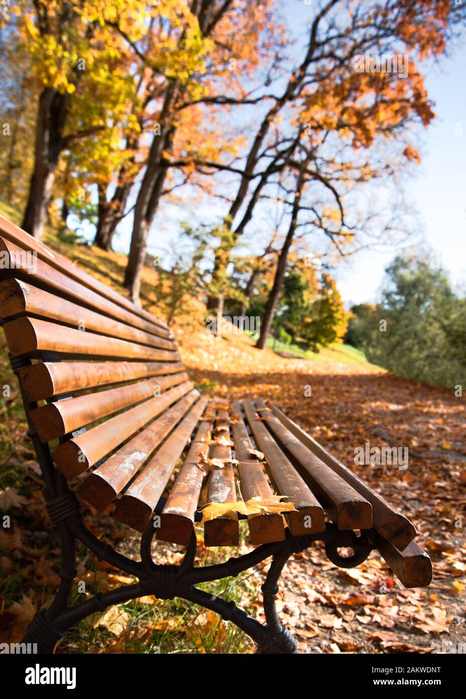 Wooden bench maple leafs hi-res stock photography and images - Alamy