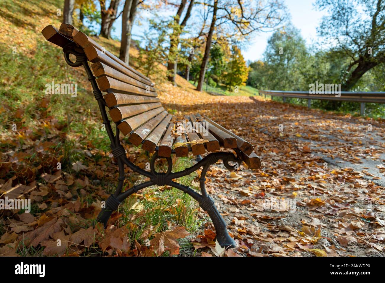 Wooden bench maple leafs hi-res stock photography and images - Alamy