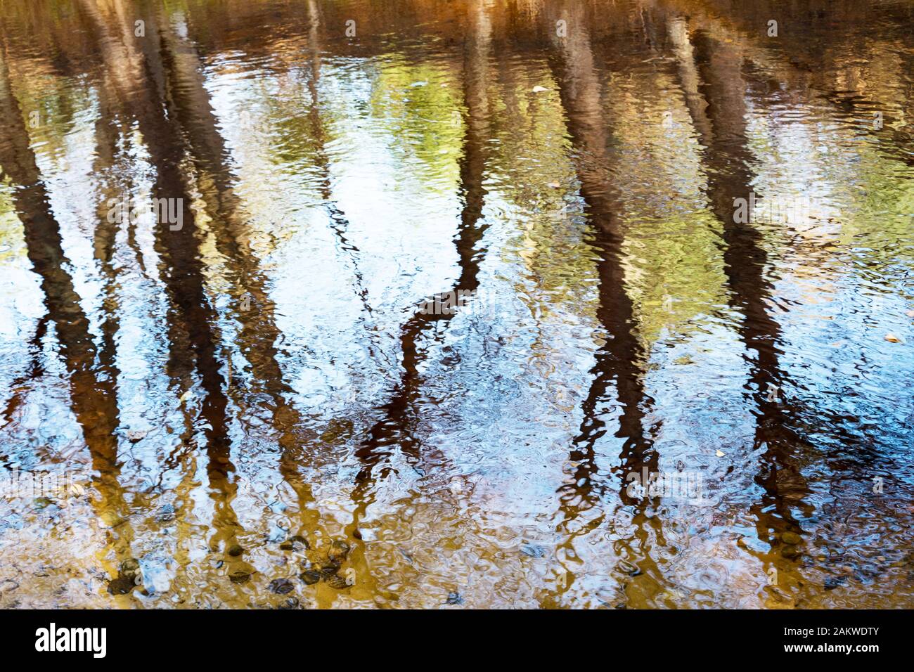 View to the reflection on the water surface Stock Photo - Alamy