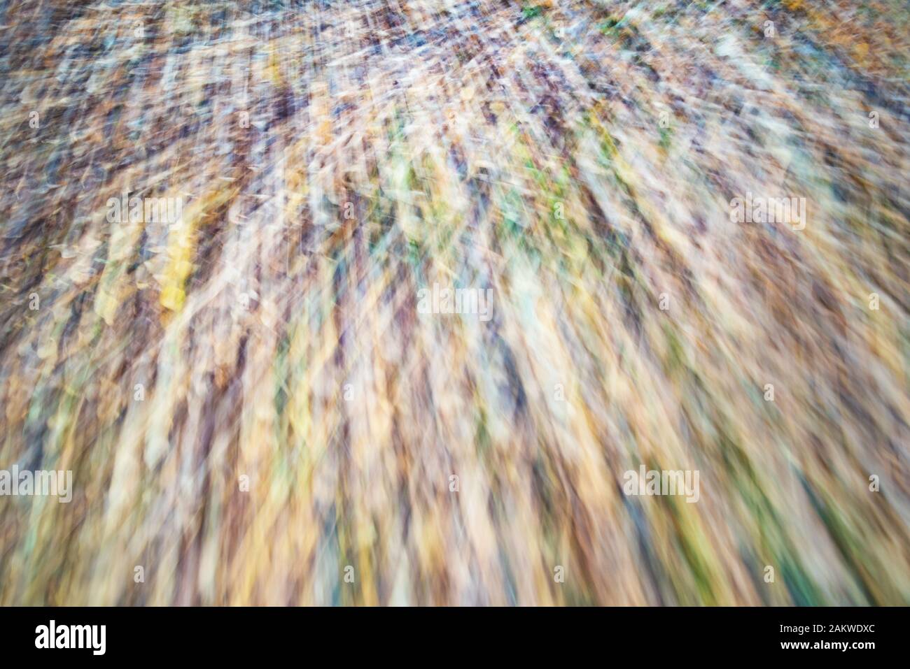 Surface of lawn with falling leaves in an impressionist style Stock ...