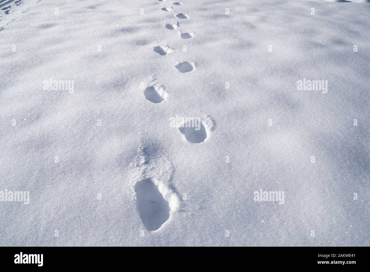 Foot steps on snow hi-res stock photography and images - Alamy