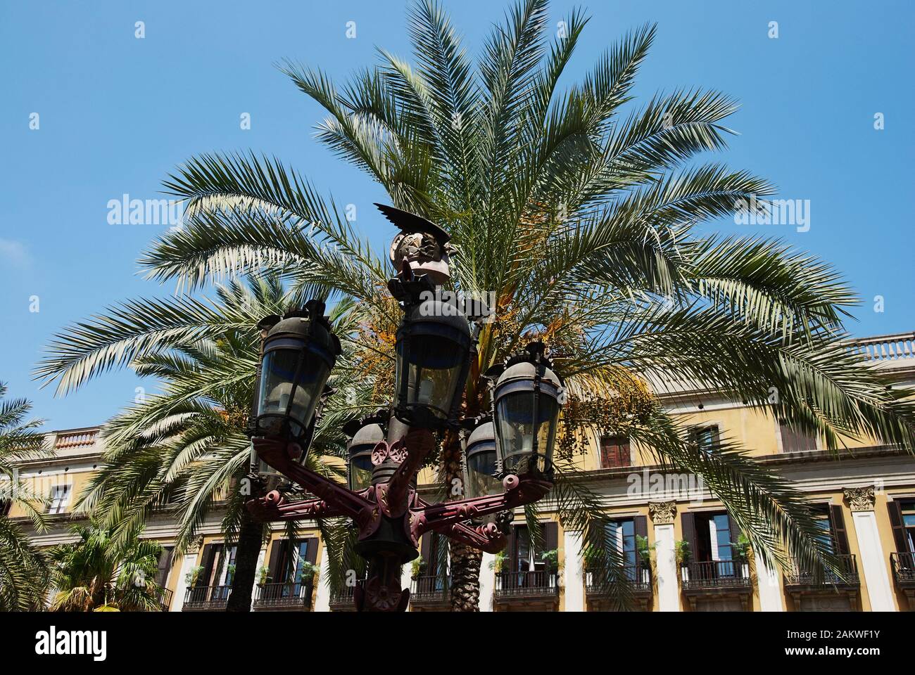 Palm Trees in Barcelona Stock Photo - Alamy