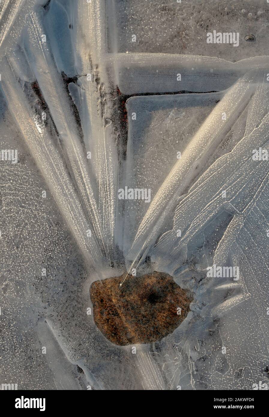 Frozen pond with different ice structure in day time after cold night ...