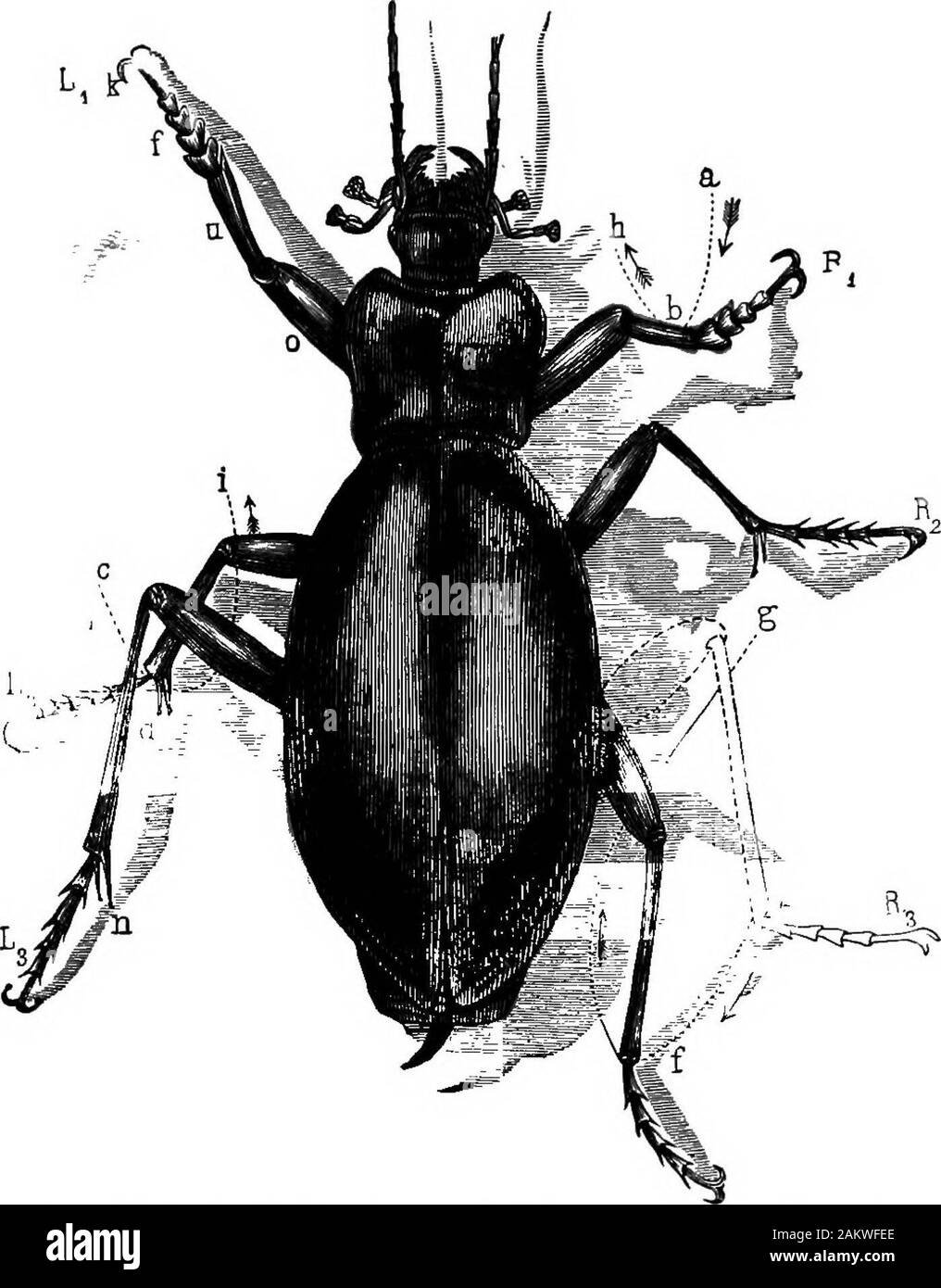 Thepass Black and White Stock Photos & Images - Alamy